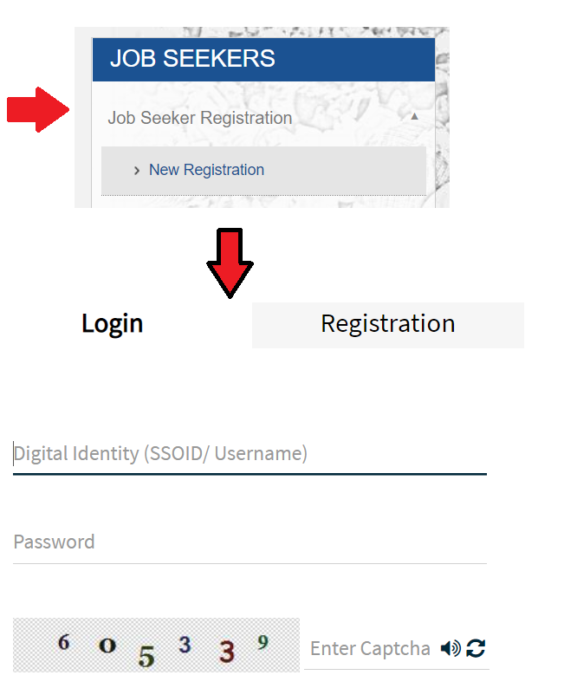 Berojgari Bhatta Internship Declaration Form 2026 PDF - InstaPDF