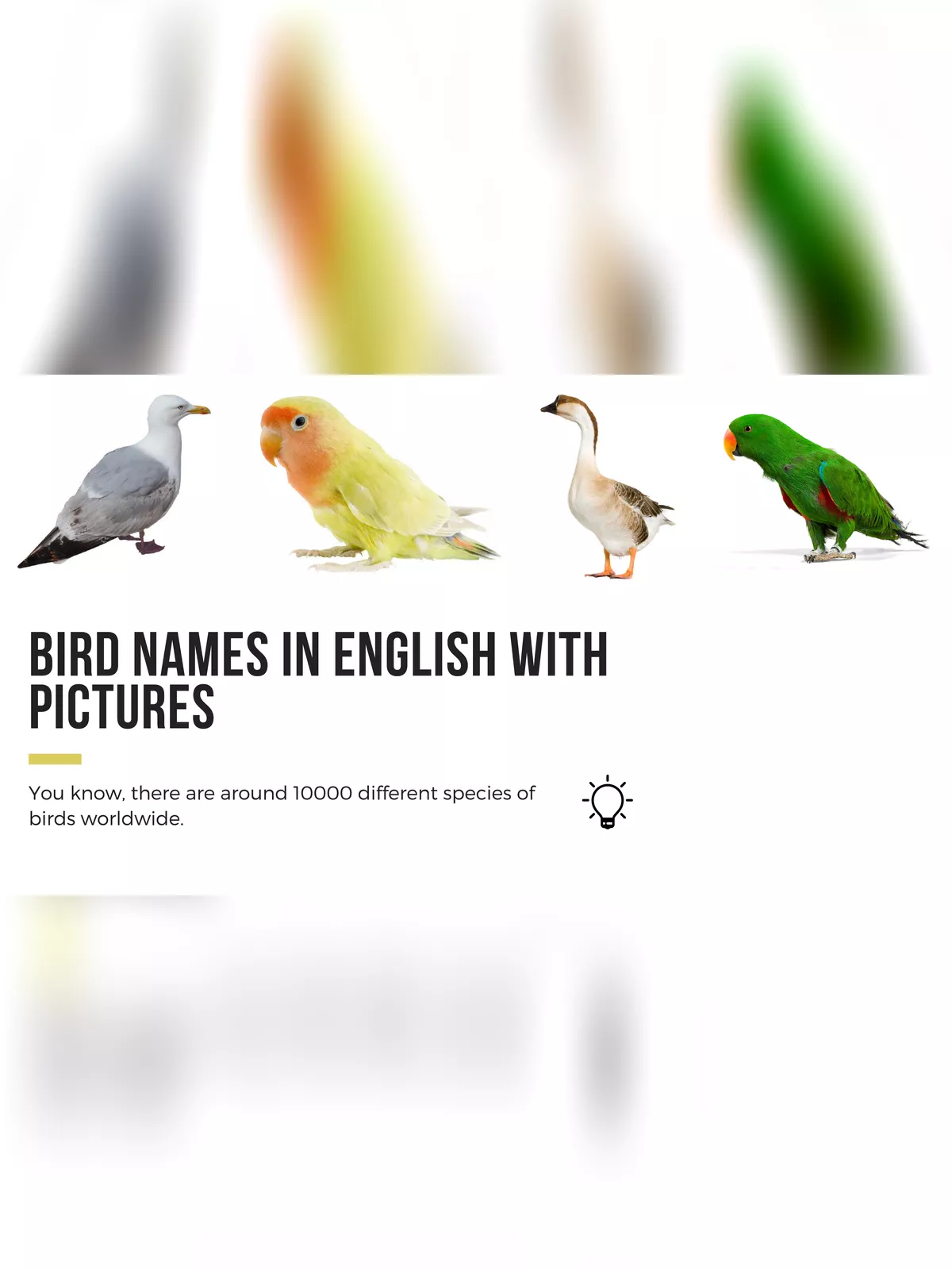 Birds Name List PDF Download – InstaPDF Birds Name List PDF Download – InstaPDF